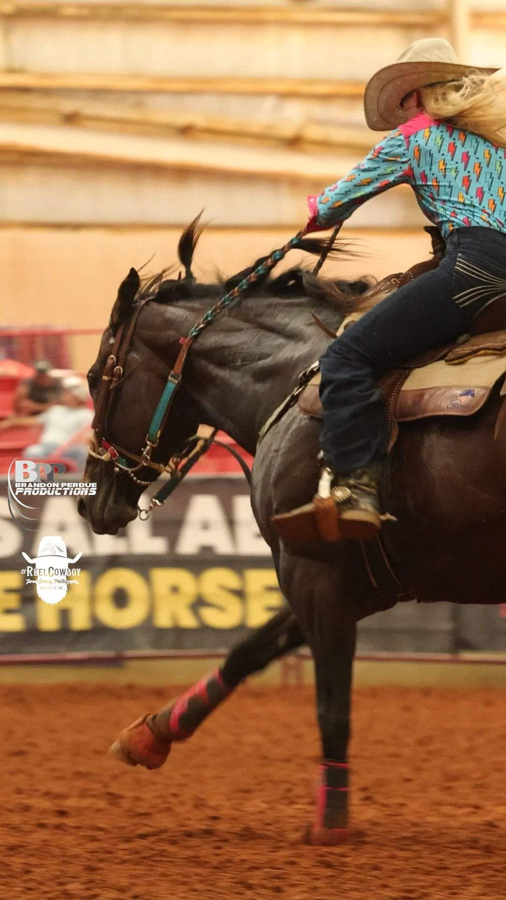 From Horse Trainer to Innovative Entrepreneur: The Birth of Boca Brand ...